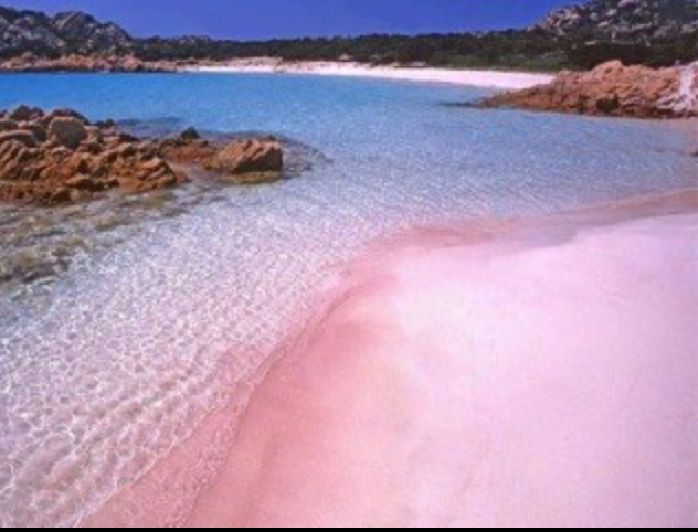 Les plages de sable rose ! La beauté à l’état pur ! – TravelerCar